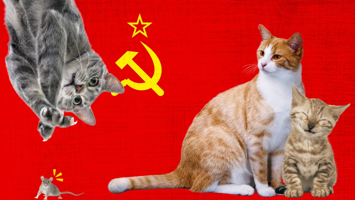 Los gatos de la Unión Soviética | Ornitorrinco CIA